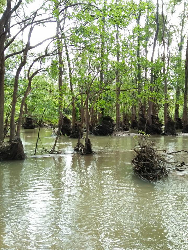 Visit to Koh Han CBET