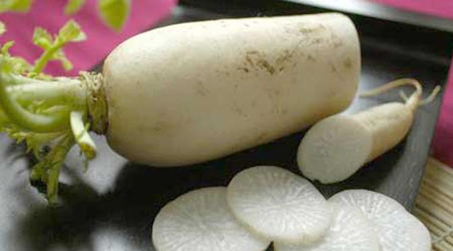 Khasiat Lobak Bagi Kesehatan ~ HerbalNewsPedia