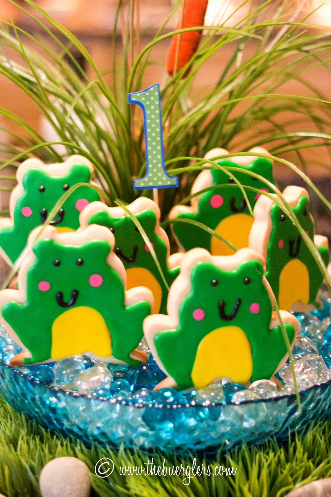 The Buerglers: Maggie's Maggi and Milo Birthday Party