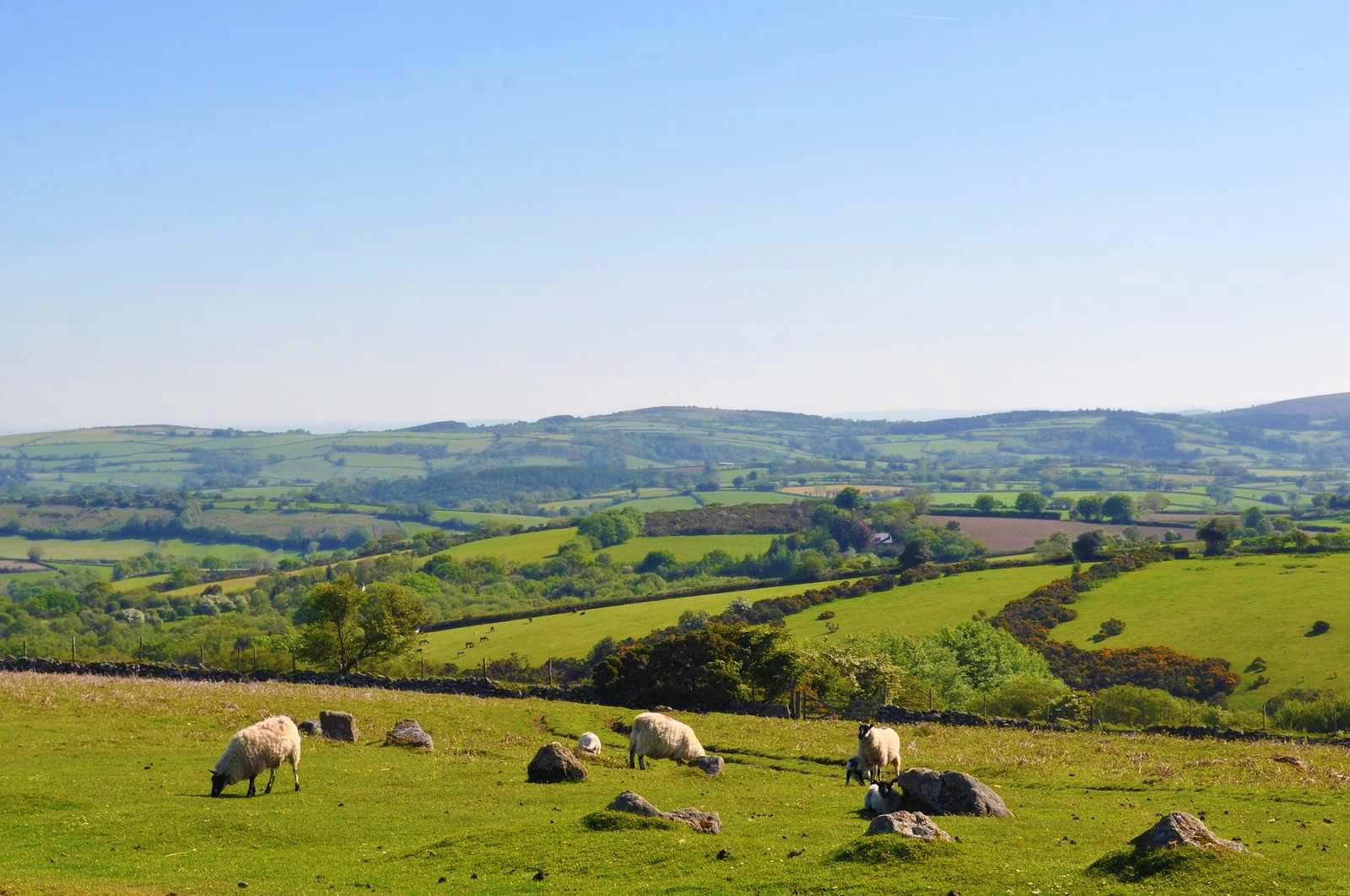 Oh, the places we will go!: The Magical Moors of Devon