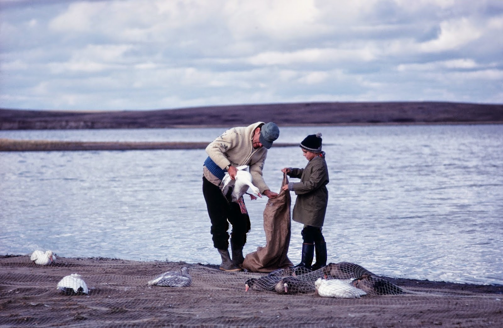 1950'S Slides Of Arctic And Inuit Life (50 Pics) - STATIONGOSSIP