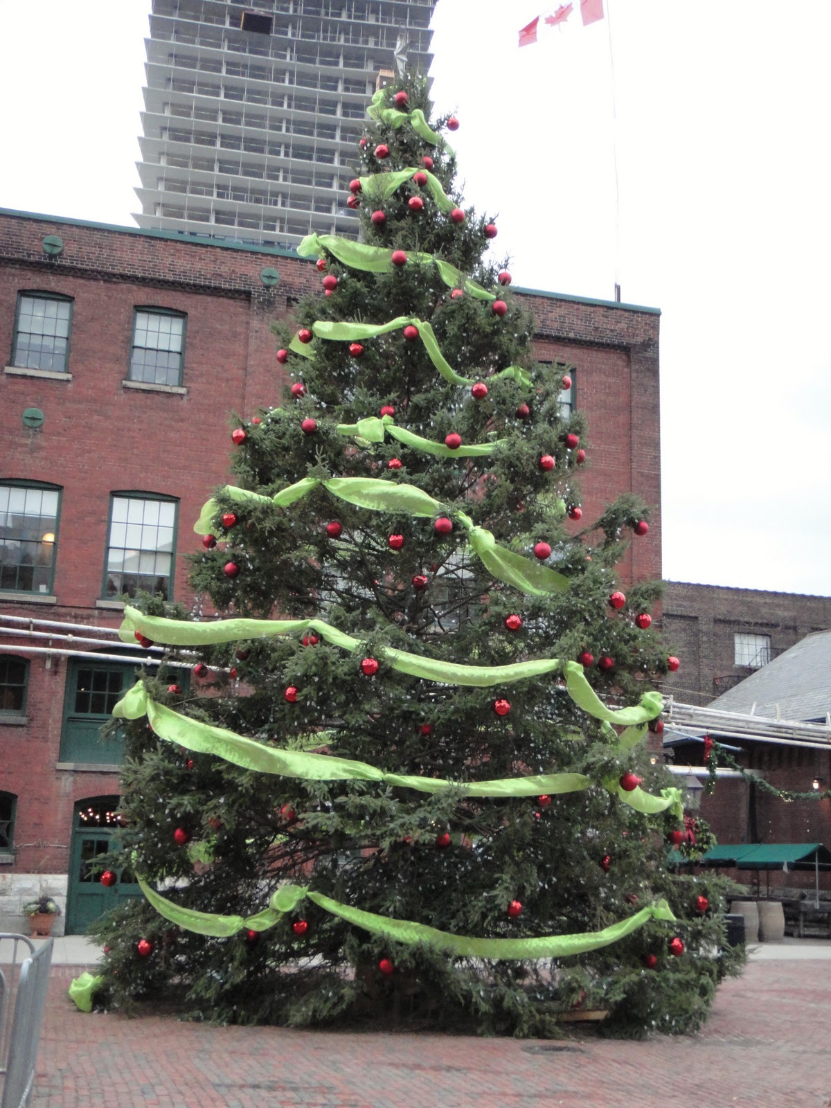 .: The 50ft Tree at the Toronto Christmas Market, after countless hours ...