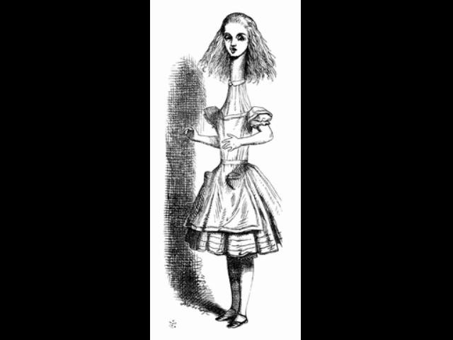 " In My Wonderland ": Chasing Rabbits.. dropping down to the HOLE into ...