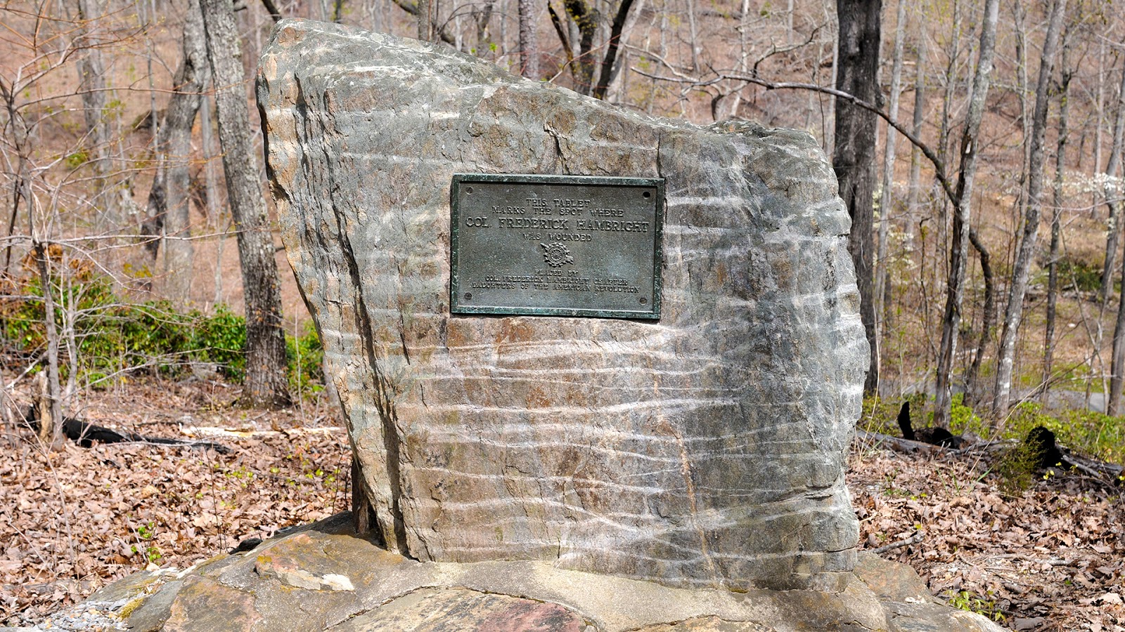 Alice's Silver Years: Col. Frederick Hambright and the Battle of Kings ...