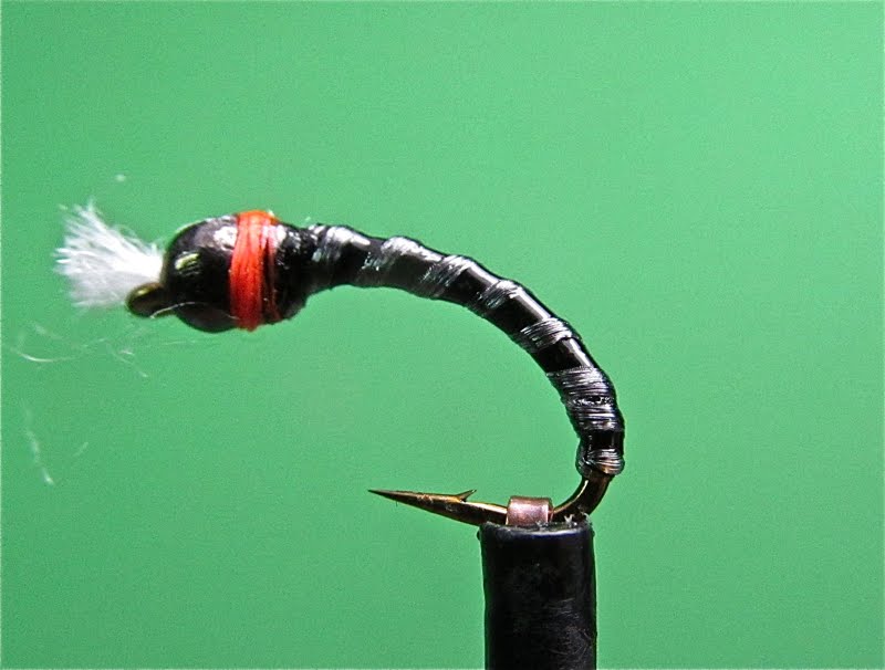 Central Alberta Fly Tying Club: Monday January 16th Balanced Leeches ...