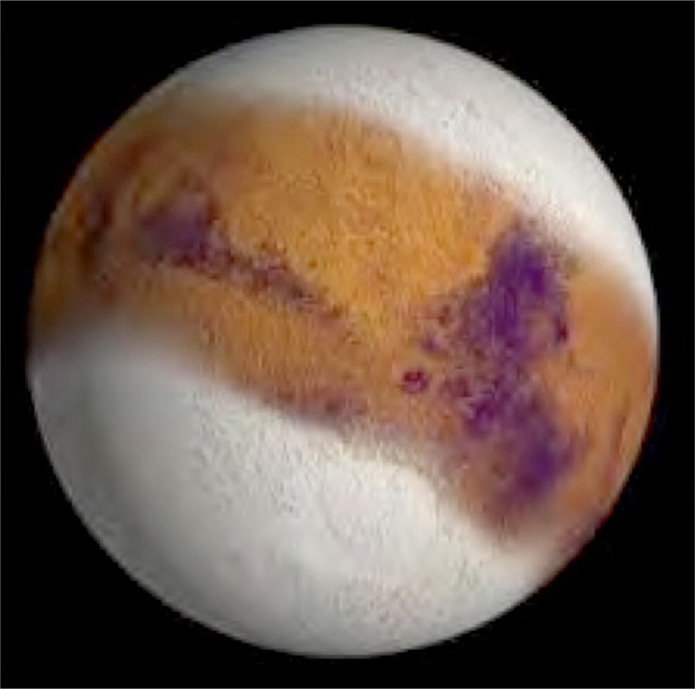 The Dragon's Tales: More Evidence of a Near Snowball Mars in the ...