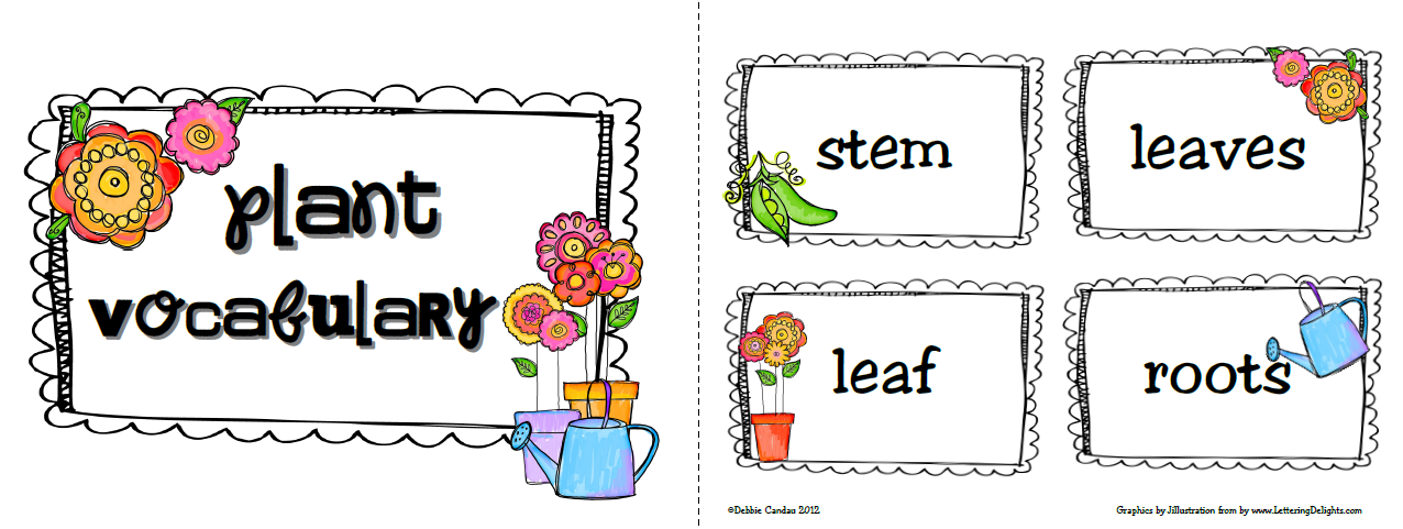 Sailing Through 1st Grade: Plant Observation Log for the Primary Grades