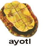 Historia del Arte guatemalteco