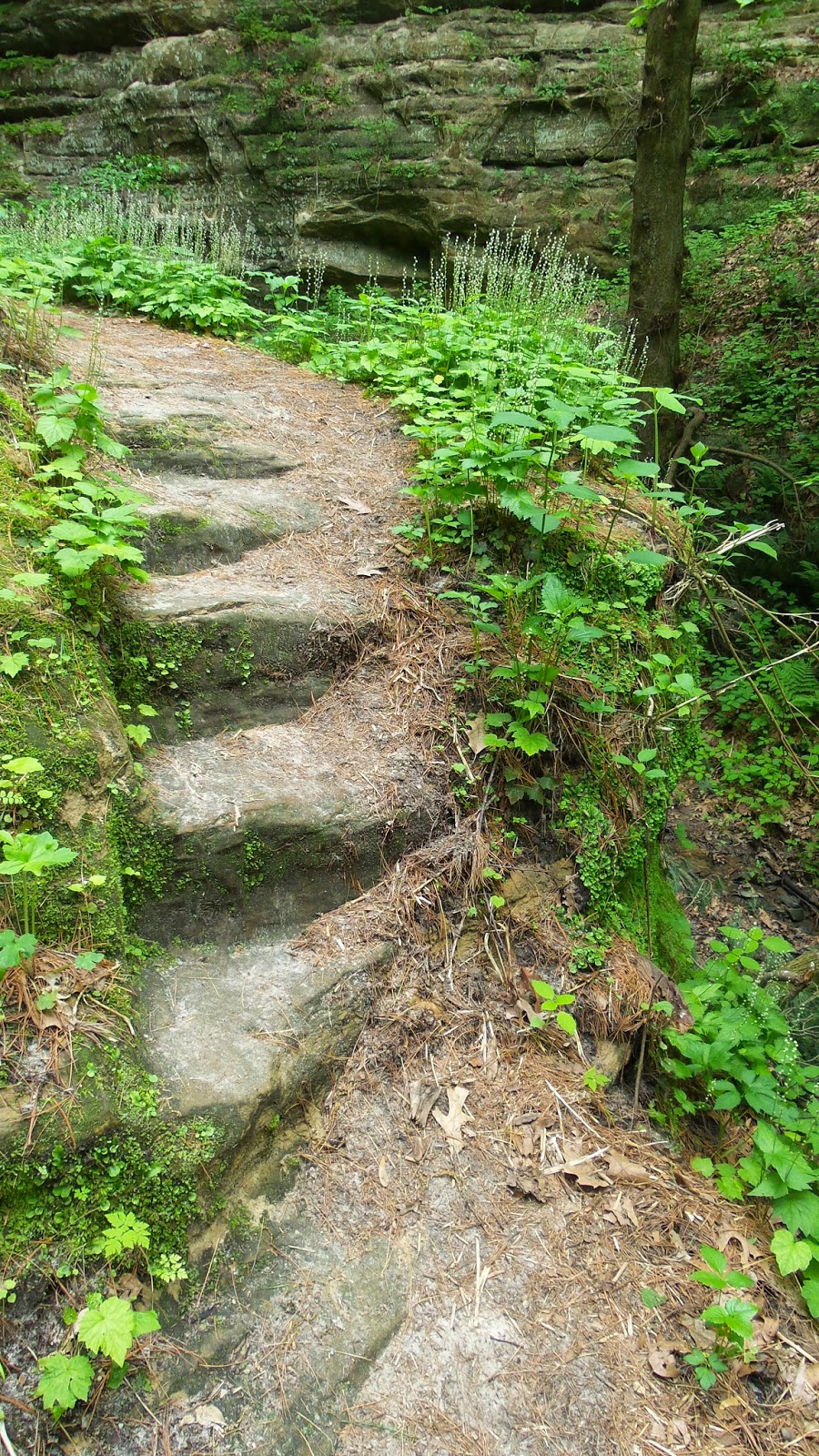 Hike Starved Rock: May 14, 2015 St. Louis, Sac, Kickapoo, and Aurora ...