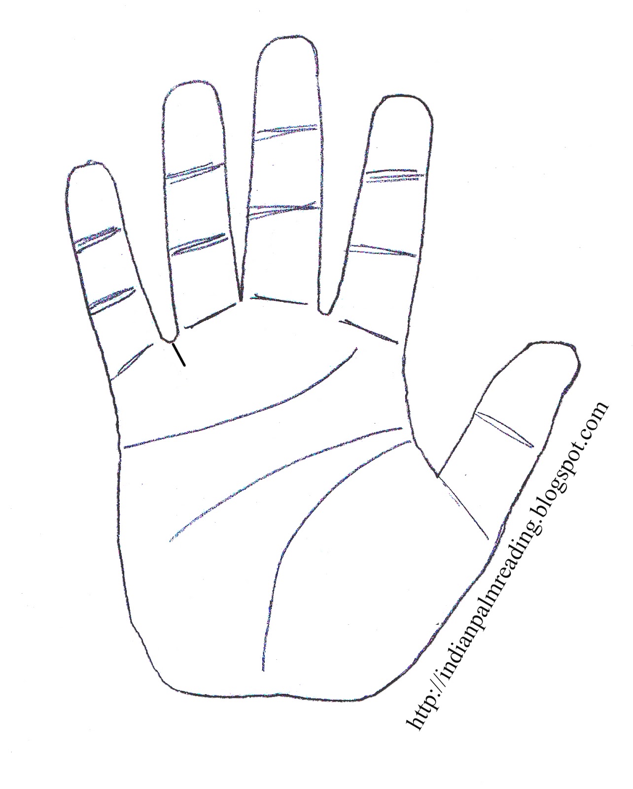 Palmistry | Sign Of Rich On Hand ~ INDIAN PALMISTRY | PALM READING ...