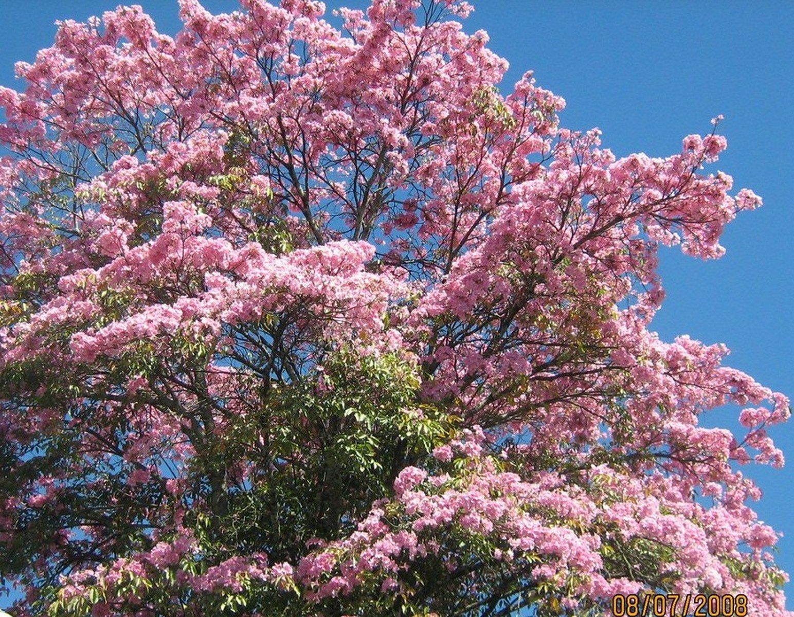 Anécdotas, Cuentos, Historias y Relatos . (Anecdotes, Experiences ...
