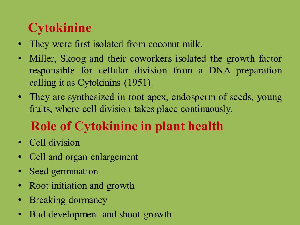 Role Of Cytokinine ~ Biological Science Help Blog Biochemistry Help