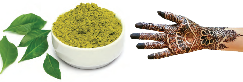 USES OF HENNA AND HOW TO USE IT ON HAIR - Herbal Health Product