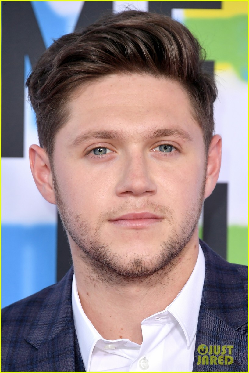 Viciadas por One Direction: Niall Horan se destaca no American Music ...