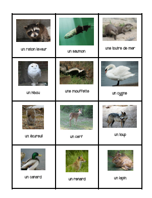 Les animaux Canadiens - Primary French Immersion Resources
