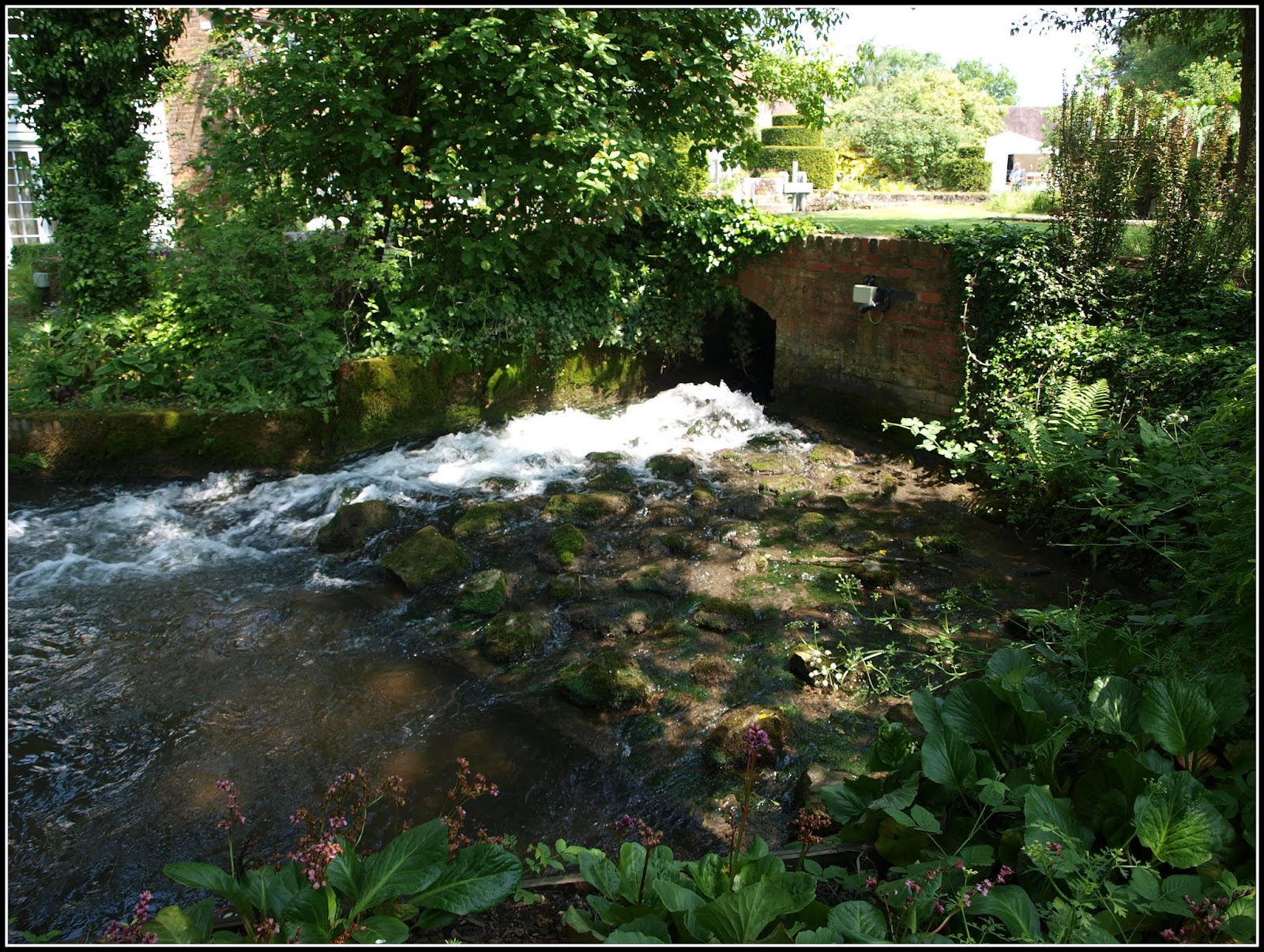 Mark's Veg Plot: Dipley Mill
