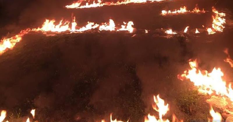ΔΑΦΝΗ ΚΑΛΑΒΡΥΤΩΝ: "Άναψαν τη φλόγα" του 1821 και τίμησαν την επέτειο με ...