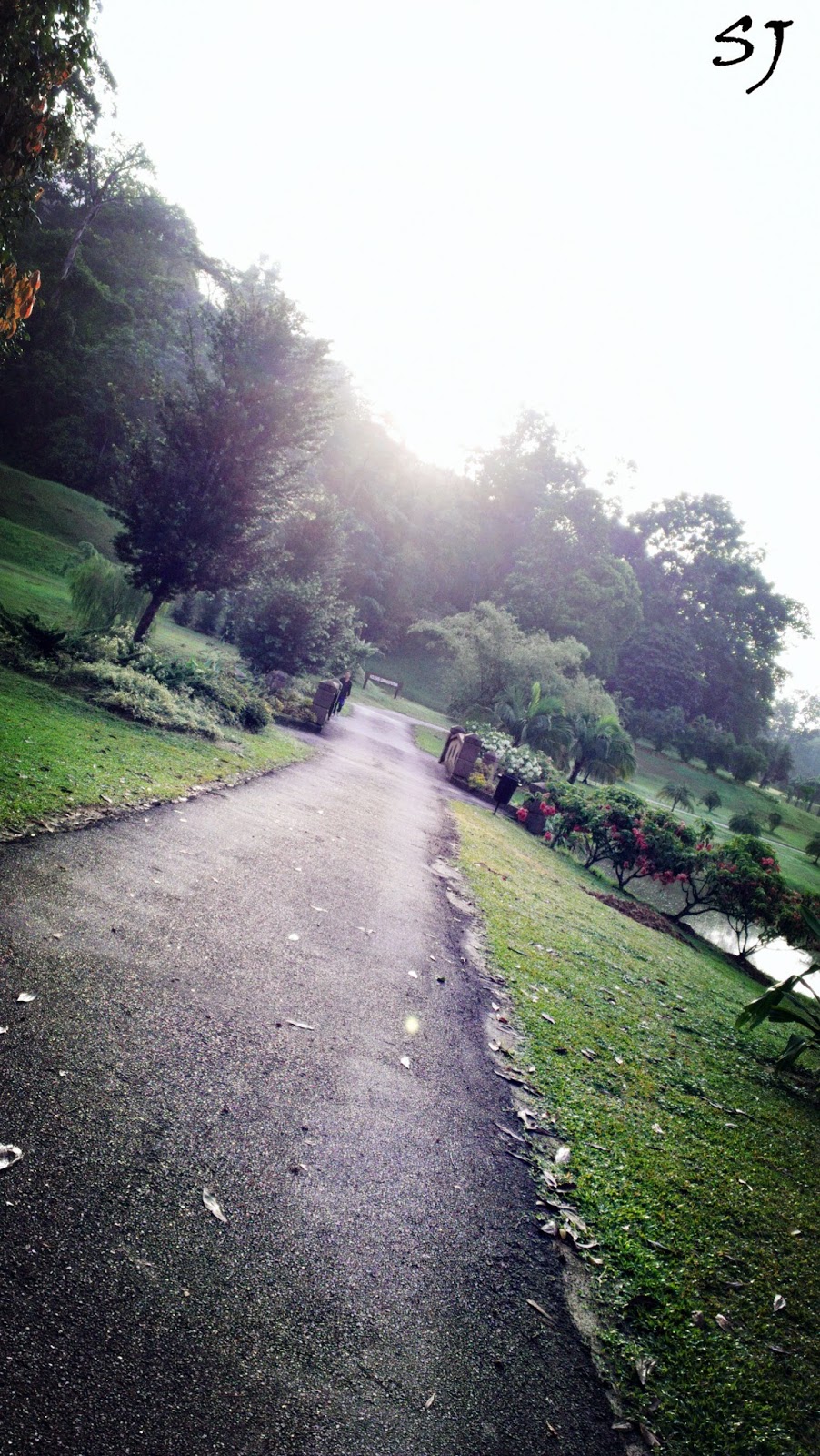 My Palace, My symphony of life and the rhythm in My heart: With Mother ...