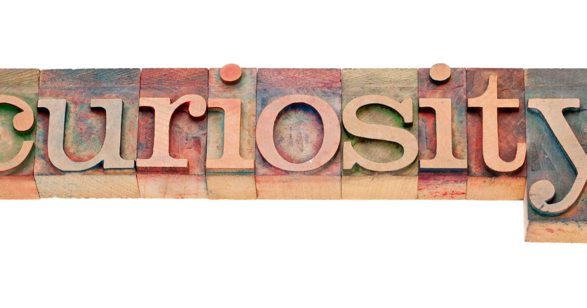Curious World: WHY? AND HOW TO BE CURIOUS