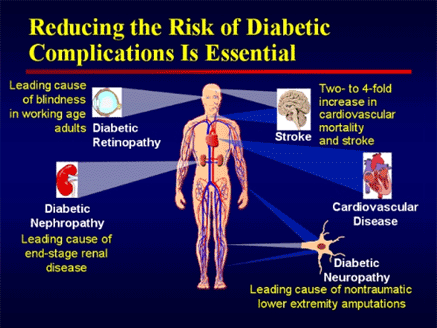 Diabetes and Your Heart: How Diabetes Affects the Body