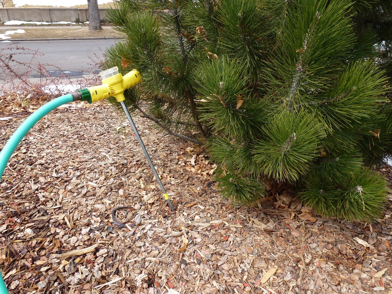 Colorado Garden Punch List - Betty Cahill: Check your Sunscreen and Trees