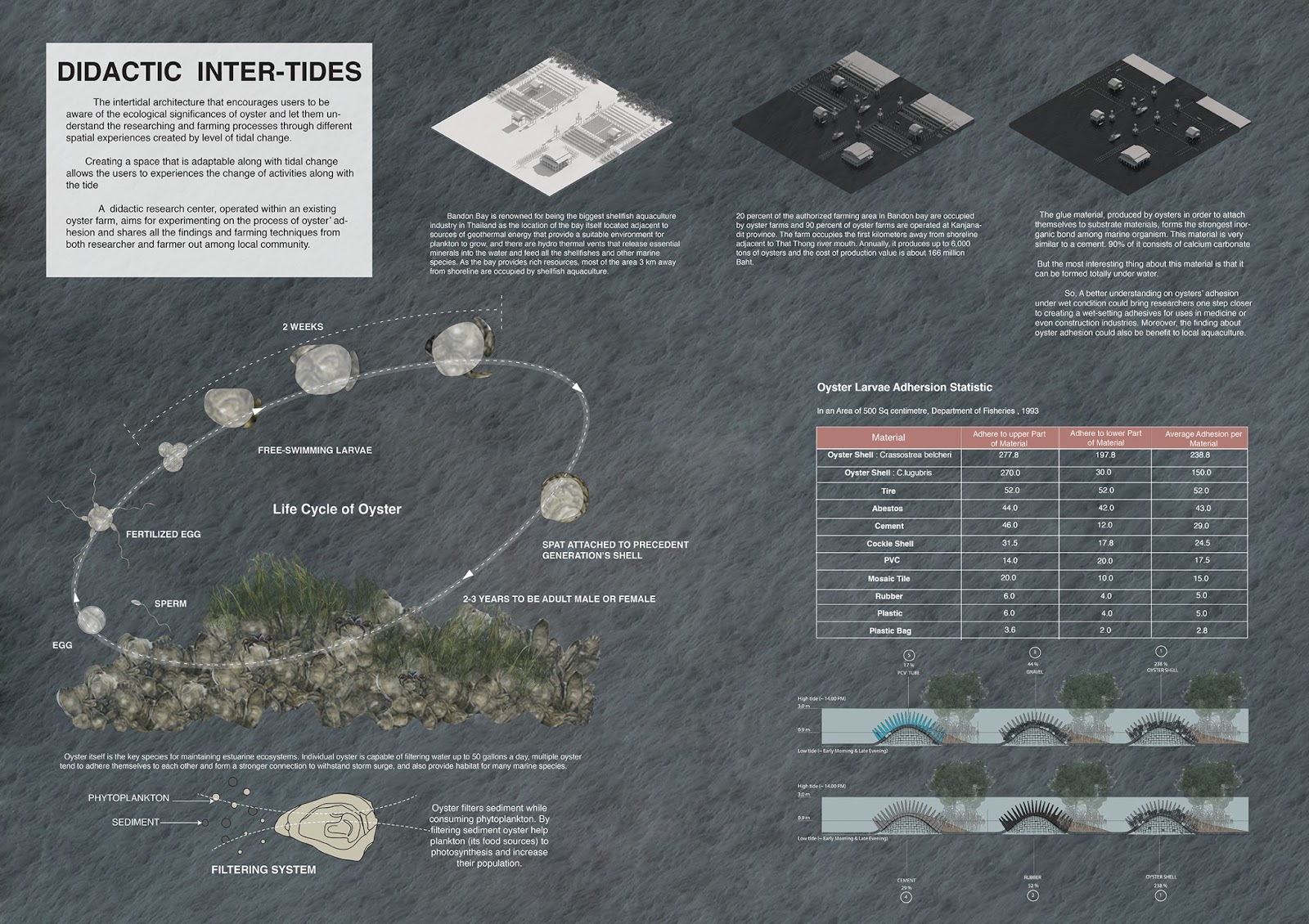 Amphibious Architecture: Didactic Inter-Tides