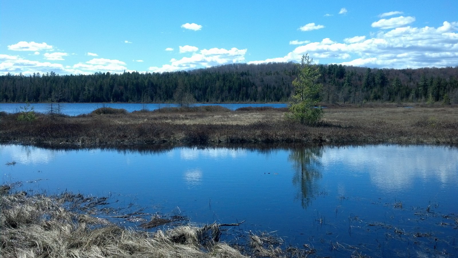 Off on Adventure: Wolf Pond - Vanderwhacker Mountain Wild Forest - 5/5/13
