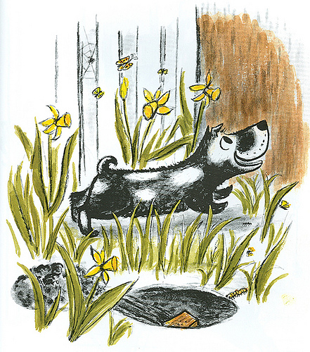 101 Picture Books: #19 - Harry the Dirty Dog by Gene Zion