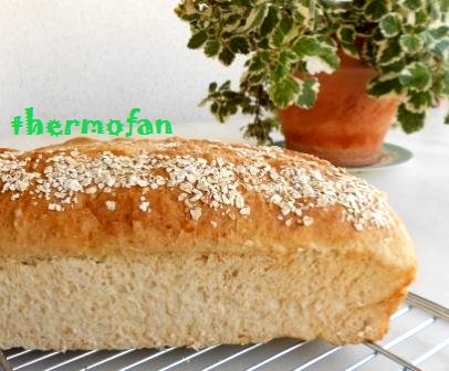 Pan integral de molde — Thermofan