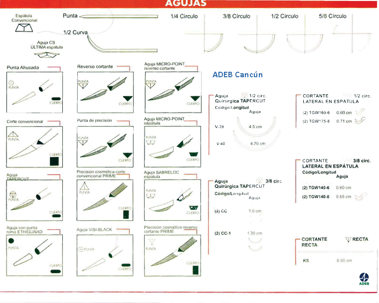Andrea Cortés: La aguja