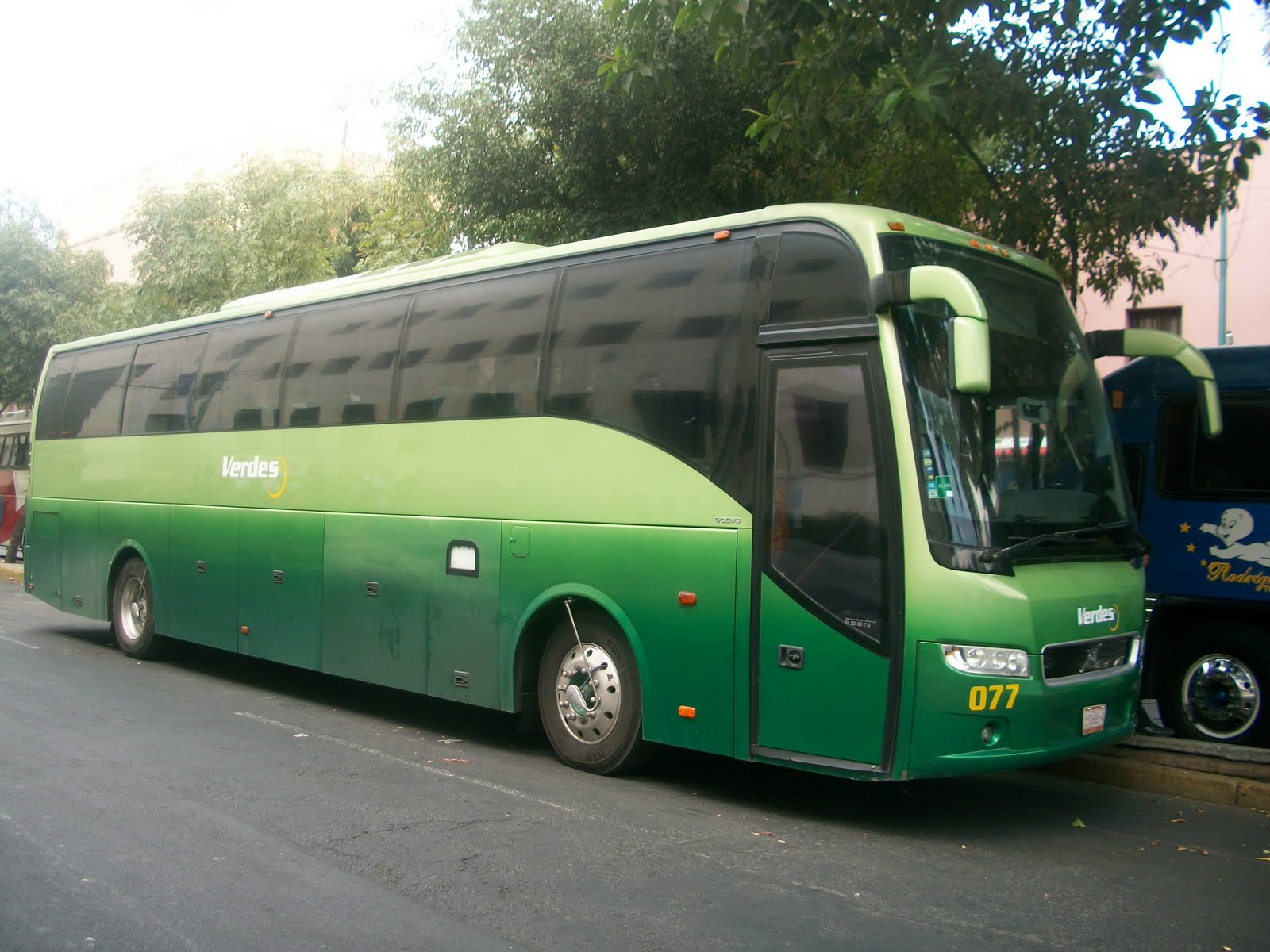 RENOBUSES COMPANY: AUTOBUSES VERDES