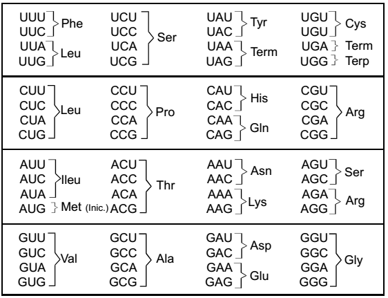 Biologia no Vestibular: (UFRJ 1991) - Biologia Molecular