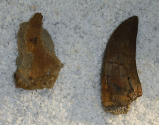 History of Geology: Invasion of the European Dinosaurs!! Part I: ca ...