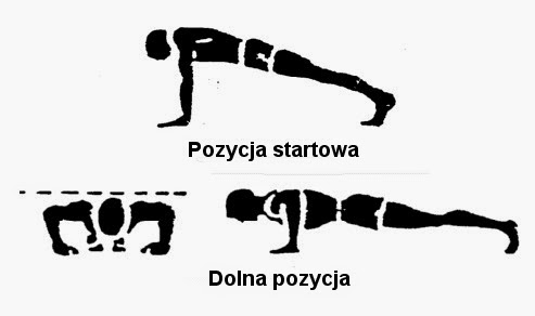 Jak poprawnie wykonywać pompki klasyczne ~ Pompki Blog. Ćwiczenia ...
