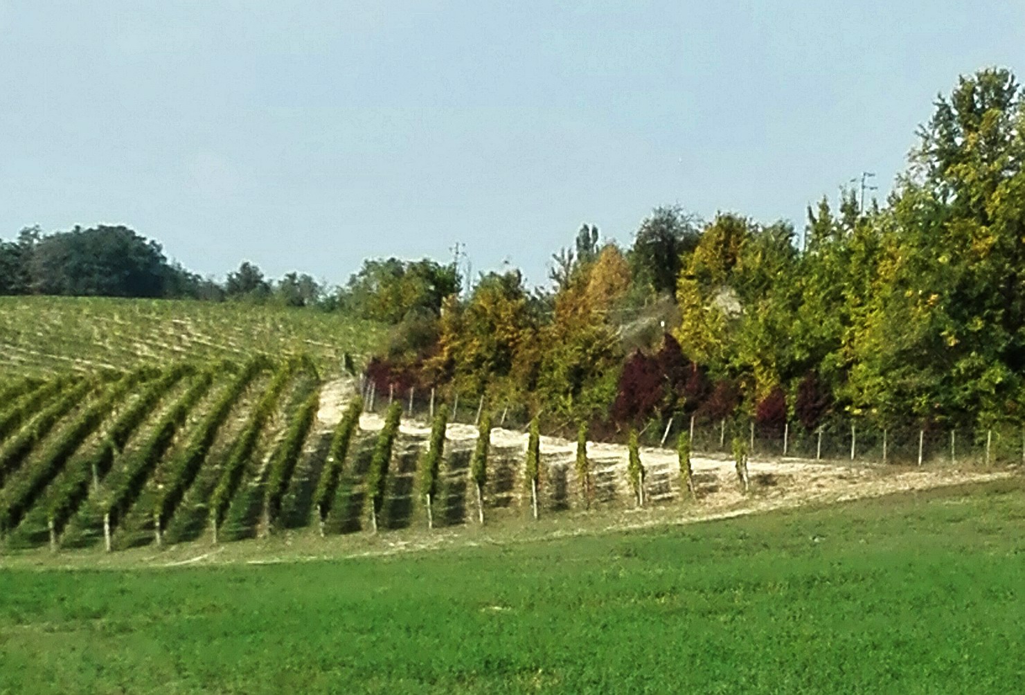 Fotografando...: Tra Gavi e Novi Ligure (AL)