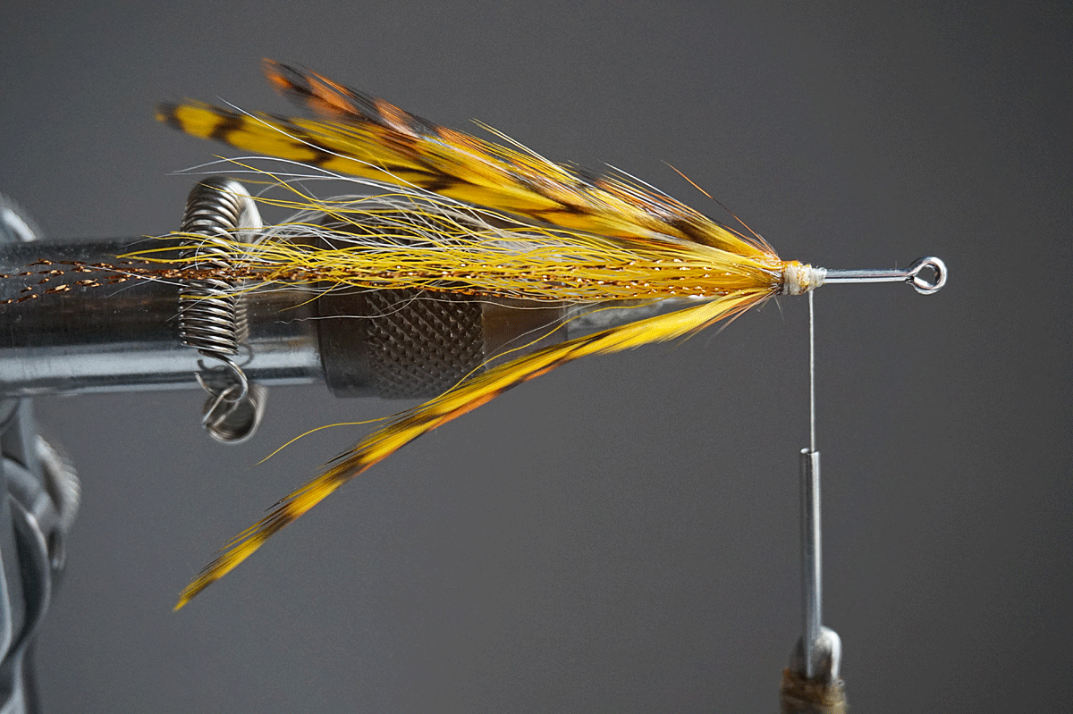 Fly Paper: TCL Special Fly Pattern