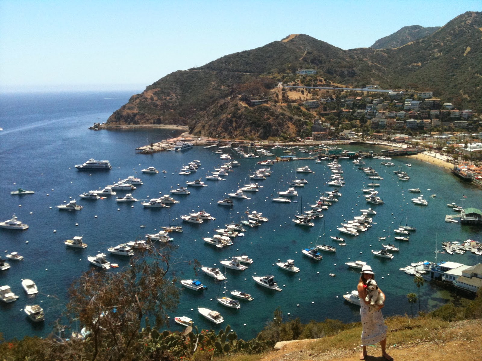 Captain Curran s Sailing Blog How Far Is Catalina Island From San Diego Captain Curran s Sailing Blog How Far Is Catalina Island From San Diego