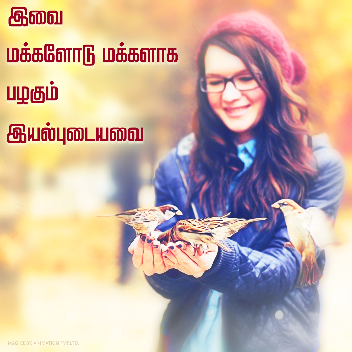 Chellame Chellam : சிட்டுக்குருவி | அழிந்து வரும் பறவை | Chelalme chellam