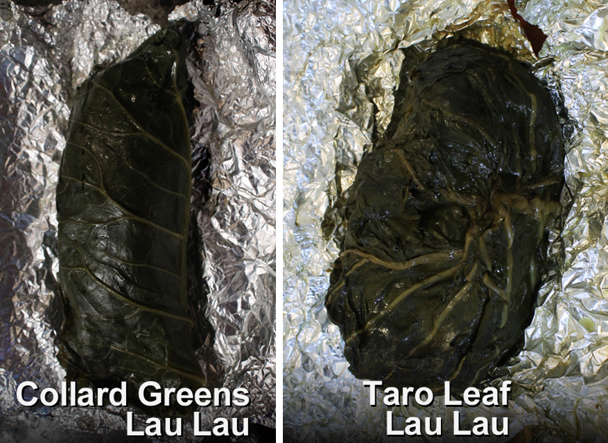 The 99 Cent Chef: Mainland Lau Lau with Pork