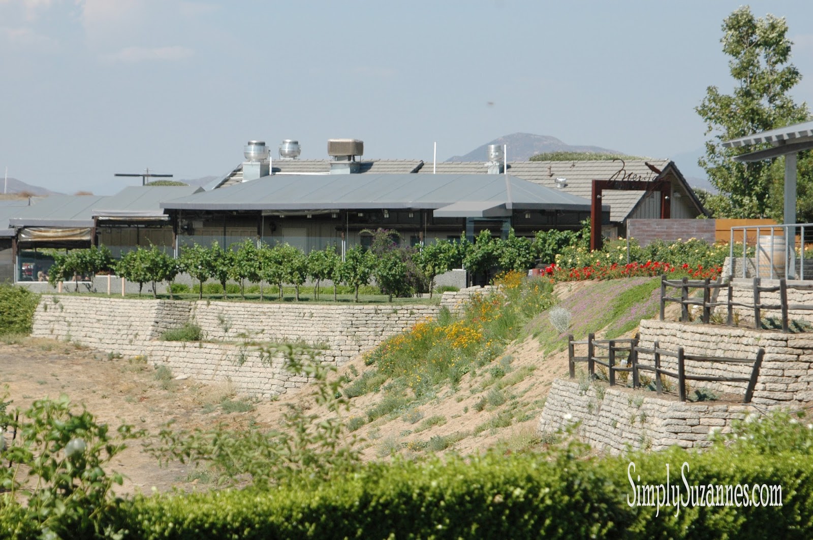 Simply Suzanne's AT HOME: dining in a vineyard