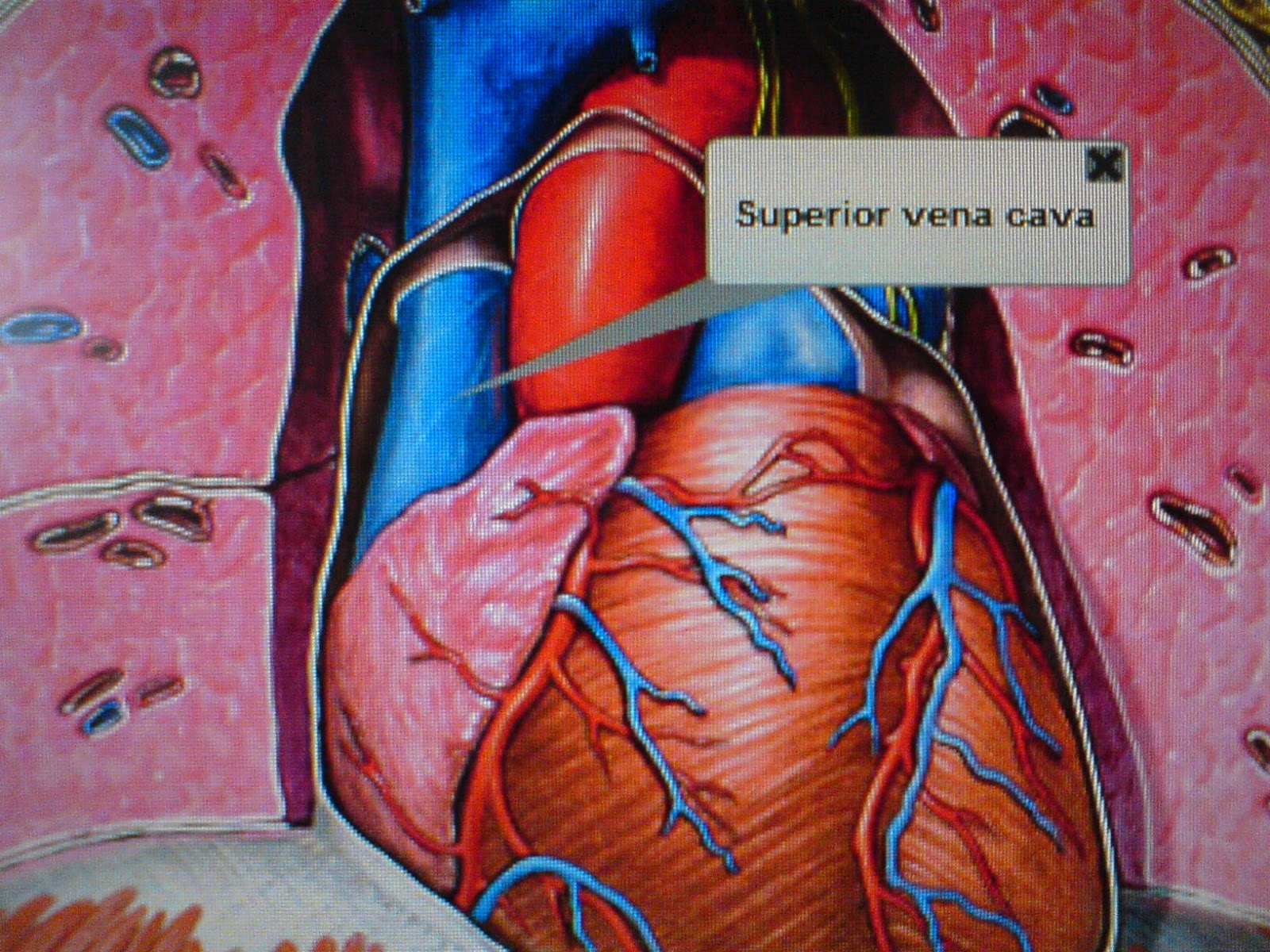 Understand to learn: Práctica 2