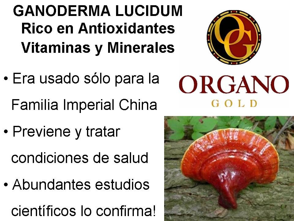 Que Es Ganoderma Lucidum Cafe - bandshudeem