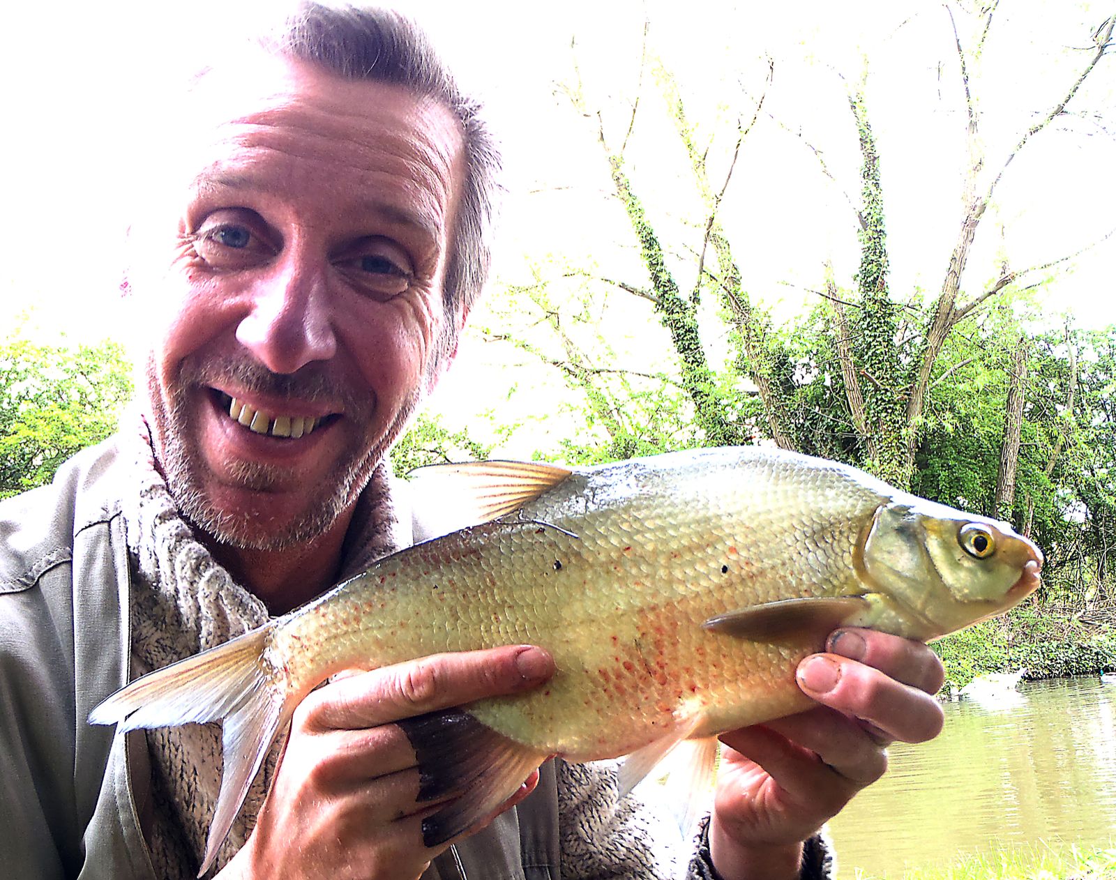 Idler's Quest: Silver Bream - Phenomenal Fish