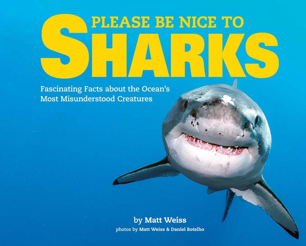 Airplanes And Dragonflies Blog Tour Please Be Nice To Sharks airplanes-and-dragonflies-blog-tour-please-be-nice-to-sharks