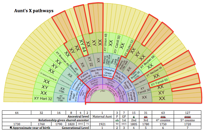 DNA and Family Tree Research: X-chromosome inheritance pathways