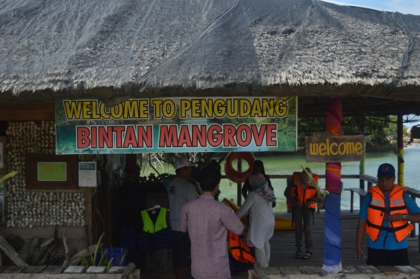 Mangrove Ecotourism mangrove-ecotourism