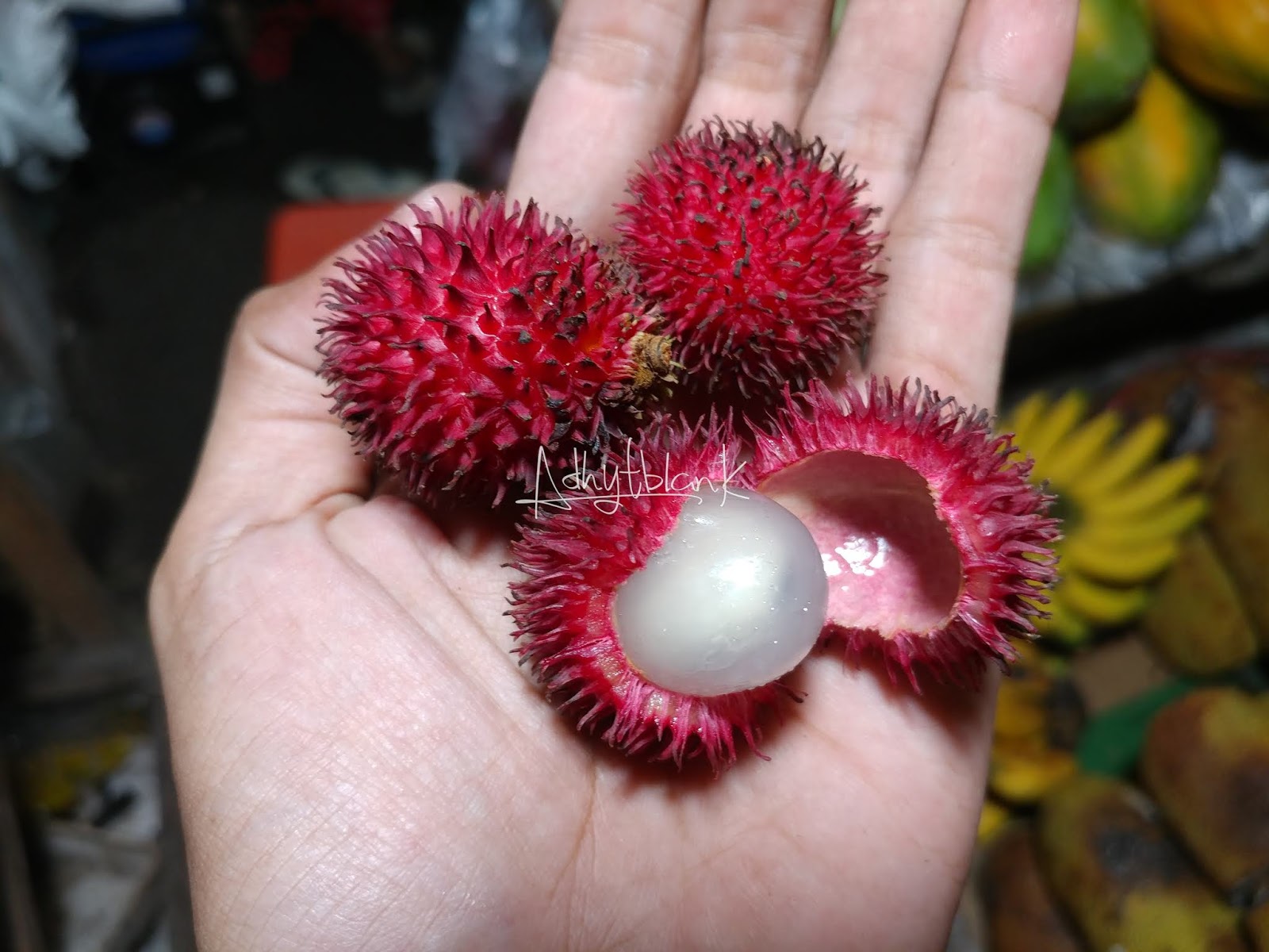 "Exotic Fruits of Borneo": Seeds for Sale