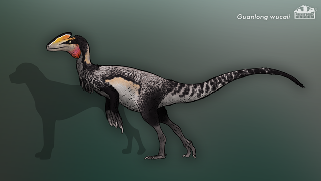 What happens when a non-accredited paleontology fan blogs: Dragon Day ...