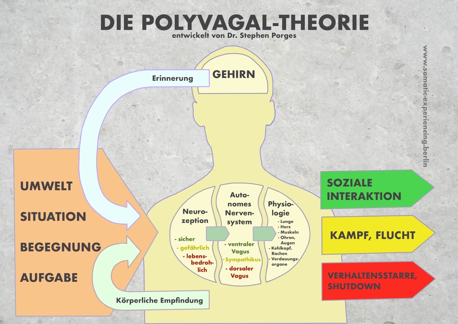 Familie - Beziehung - Trauma: Sicherheit und soziale Interaktion
