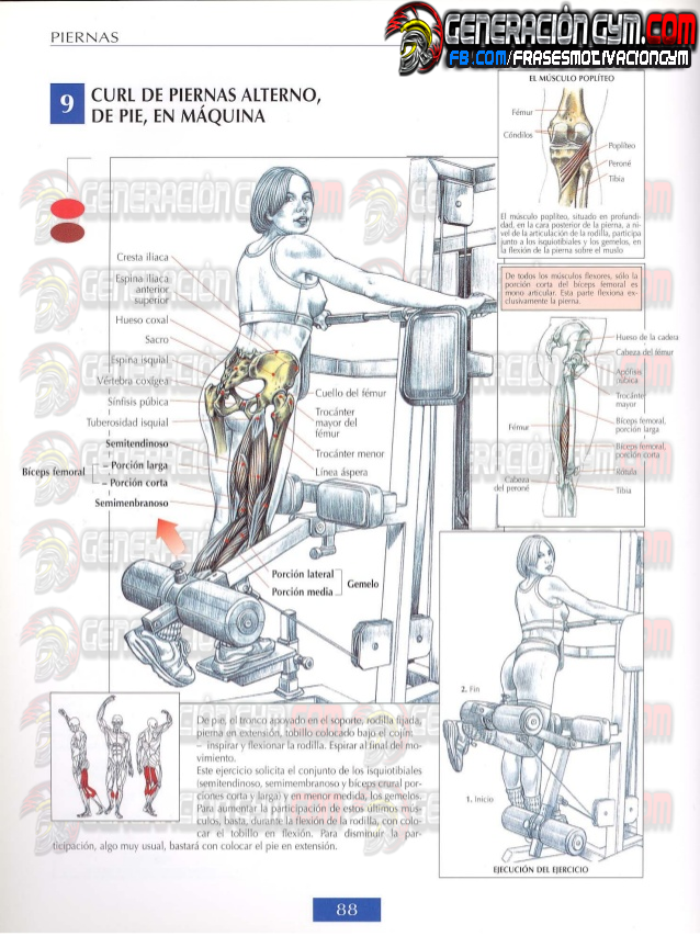 PIERNA - GENERACIÓN GYM
